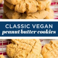 Vegan Peanut Butter Cookies (1 Bowl) - Nora Cooks