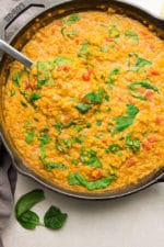 Quick & Easy Red Lentil Dahl - Nora Cooks