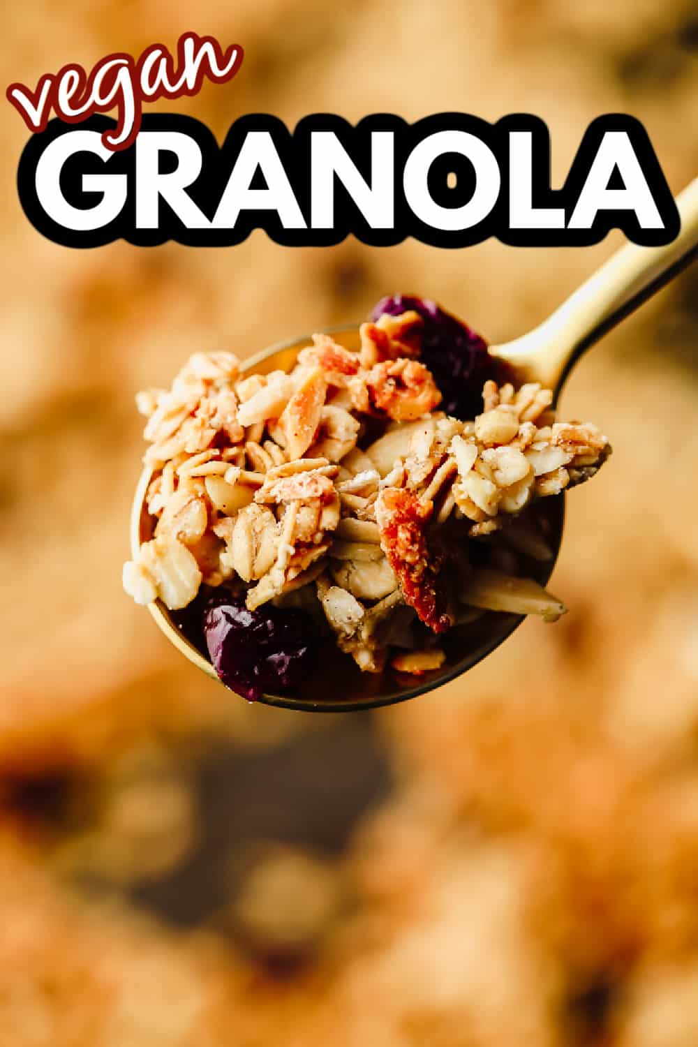Vegan Granola - Nora Cooks
