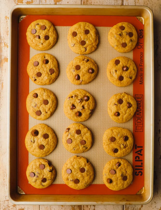 Pumpkin Chocolate Chip Cookies - Nora Cooks